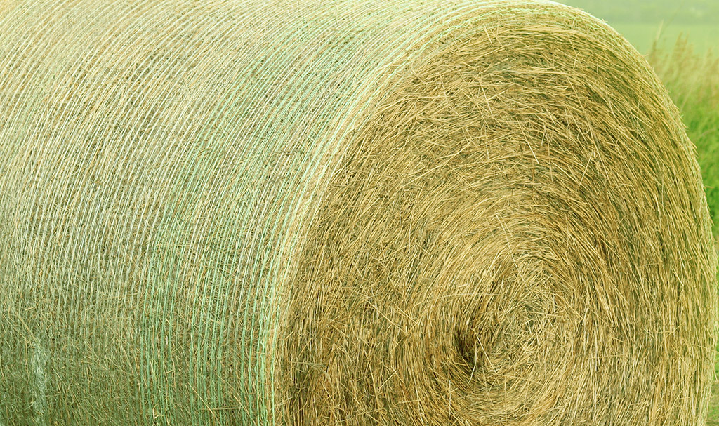 how-we-calculated-your-clamp-silage-stocks-ecosyl-uk