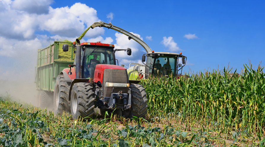 How to make high-quality maize silage